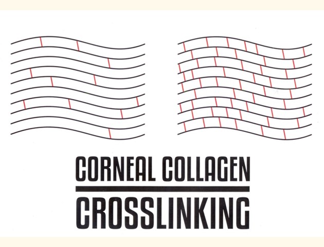 Crosslinking