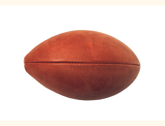 Egg-shaped or oval eyes